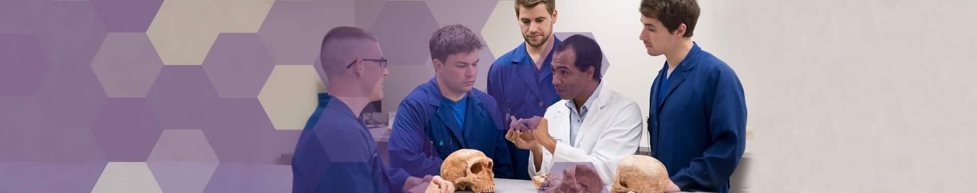 Master of Science in Anatomy | Des Moines University