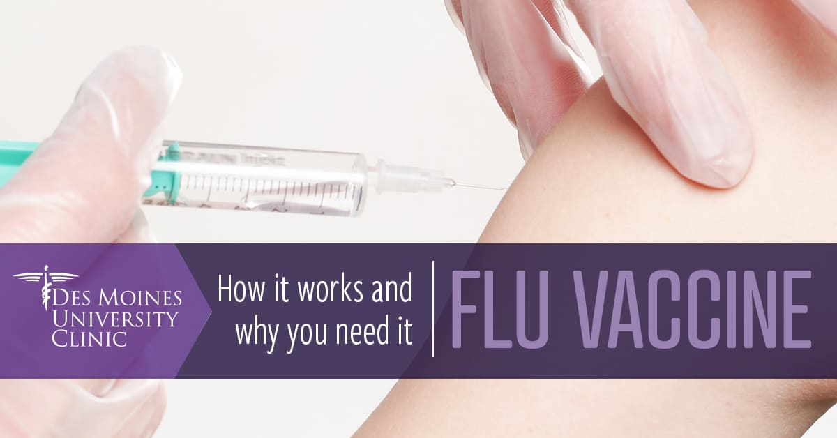 How does the flu vaccine actually work? | News | Des Moines University