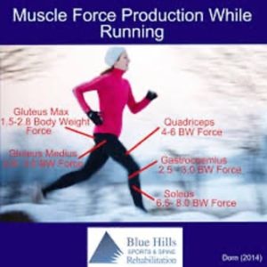 Running Incontinence and the Pelvic Floor | News | Des Moines University